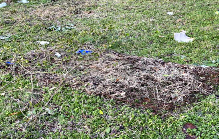 [exclusive] Paighton Houston A Look At The Filthy Crime Scene Where