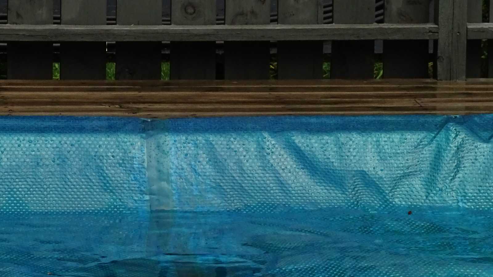 Three people, including 8-year-old girl, found dead in residential pool ...