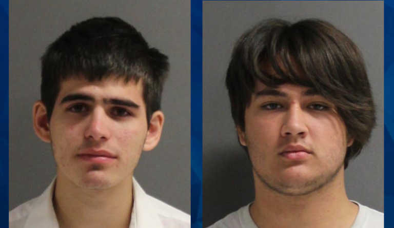 Florida teen pleads guilty to strangling mother, staging fake robbery ...