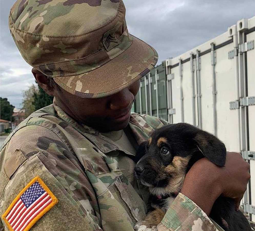 HELP STRANDED POOCH: Overseas soldier dire to bring rescue dog home ...