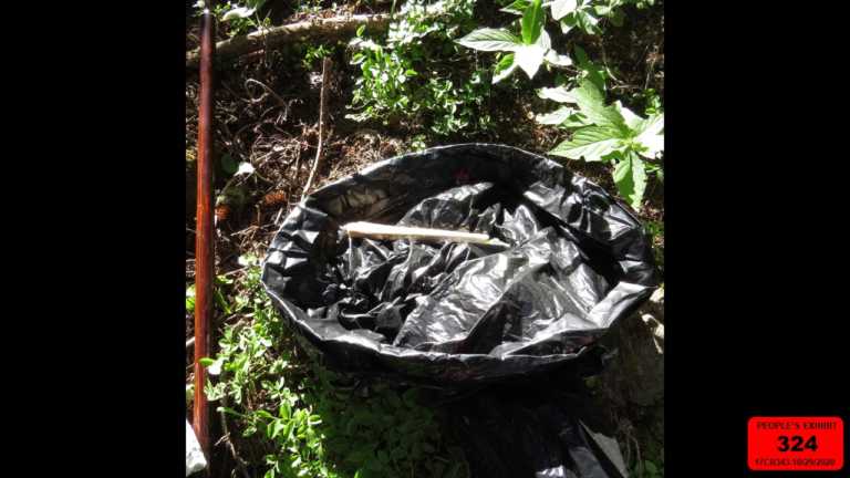 Dylan Redwine Crime Scene Photos: Bones, Clothes & Possible Toe Found ...