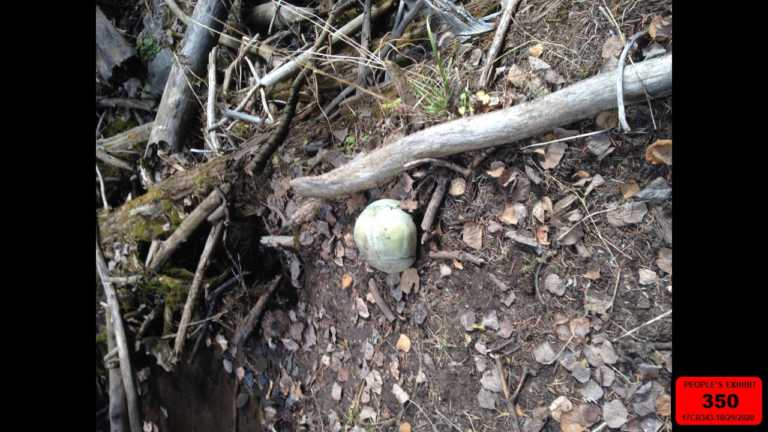 Dylan Redwine Crime Scene Photos: Bones, Clothes & Possible Toe Found ...