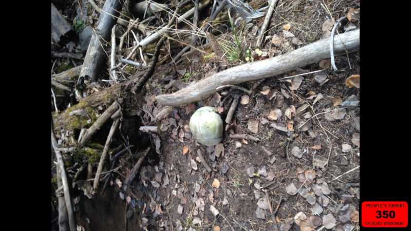 Dylan Redwine Crime Scene Photos: Bones, Clothes & Possible Toe Found ...