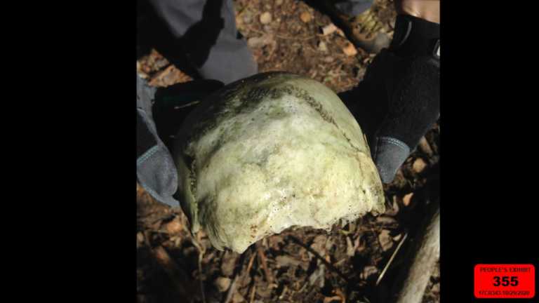 Dylan Redwine Crime Scene Photos: Bones, Clothes & Possible Toe Found ...