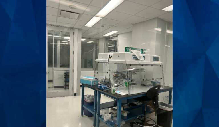 Sandy Point Skeleton Mystery Solved 95 years Later with Othram’s ...