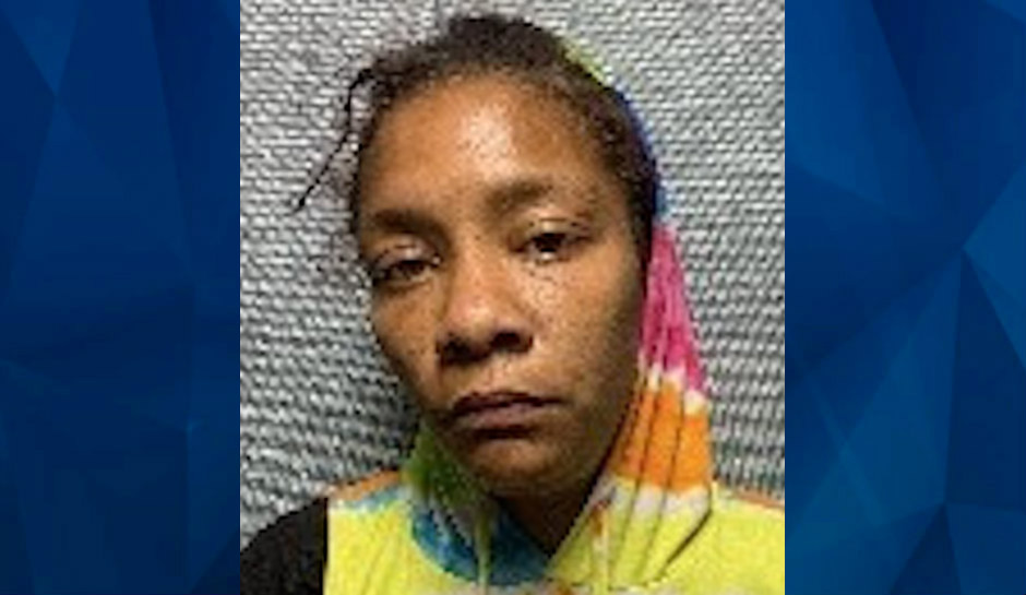 Maryland Man’s New Girlfriend Charged With Killing His Ex – Crime Online