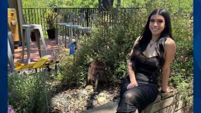 Marissa DiNapoli – Crime Online
