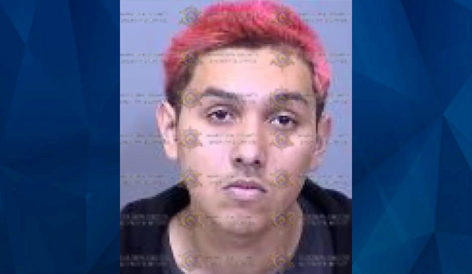 Burglar Kills Homeowner, Lives in His Home – Crime Online